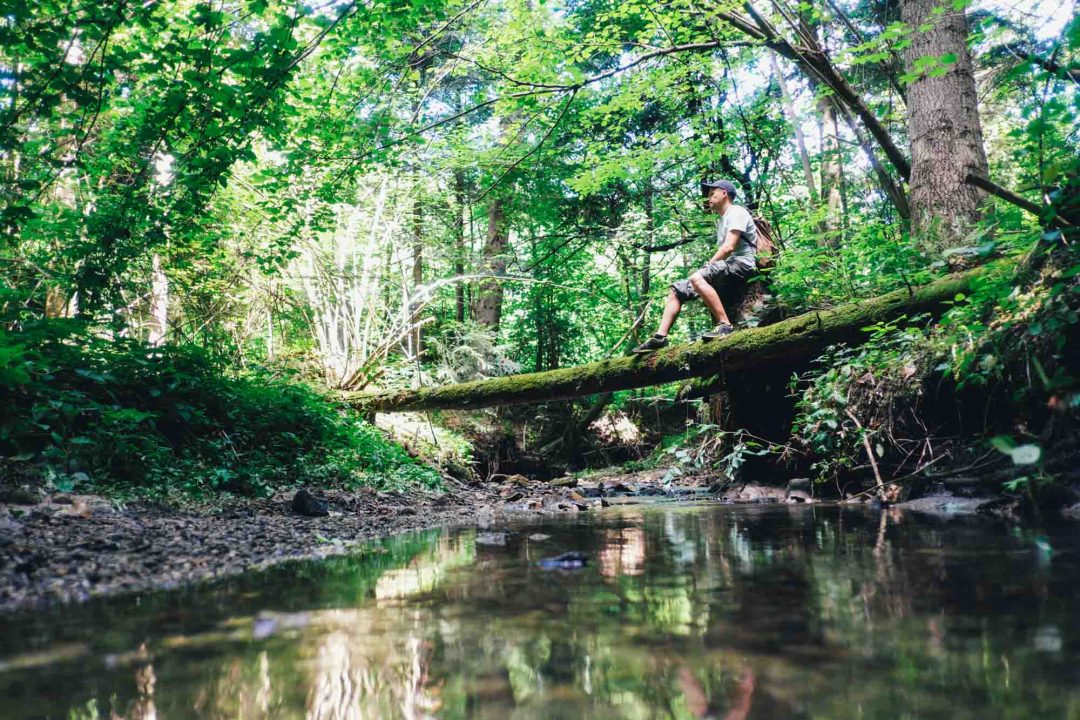 13 Best State Parks Near Austin - Roaming the USA