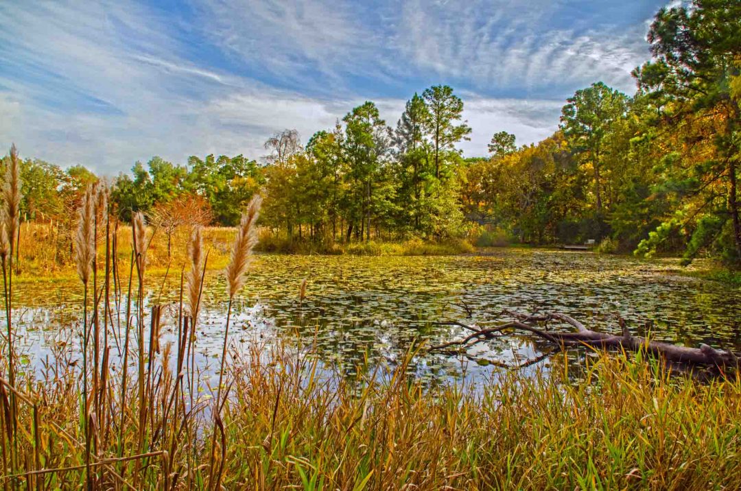 Hiking in Houston: 14 Stunning Houston Trails - Roaming the USA
