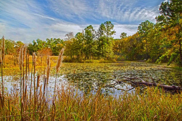 Hiking in Houston: 14 Stunning Houston Trails - Roaming the USA
