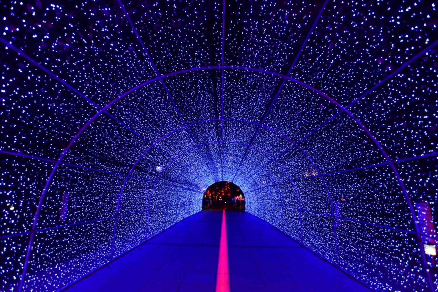 12 Festive Ways to Celebrate Christmas in Houston (2023) - Roaming the USA