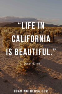 103 Quotes About California & Epic California Instagram Captions ...
