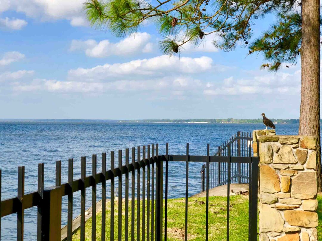 22 Fun Things to Do in Conroe, TX - Roaming the USA
