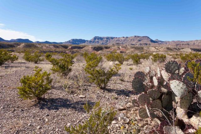 17 Best Scenic Drives in Texas You Must Take - Roaming the USA