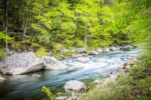 16 Best Hikes in Vermont (+ Guides) - Roaming the USA