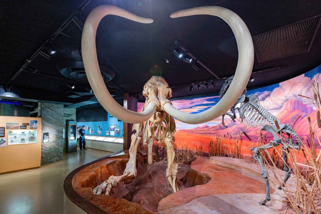 26 Fun Things to Do in Nevada - Roaming the USA