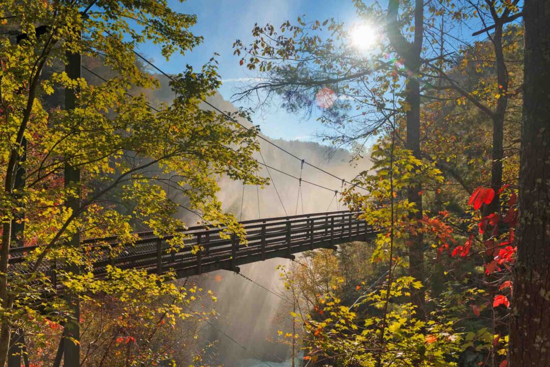 16 Best Places to Experience Fall in Georgia - Roaming the USA
