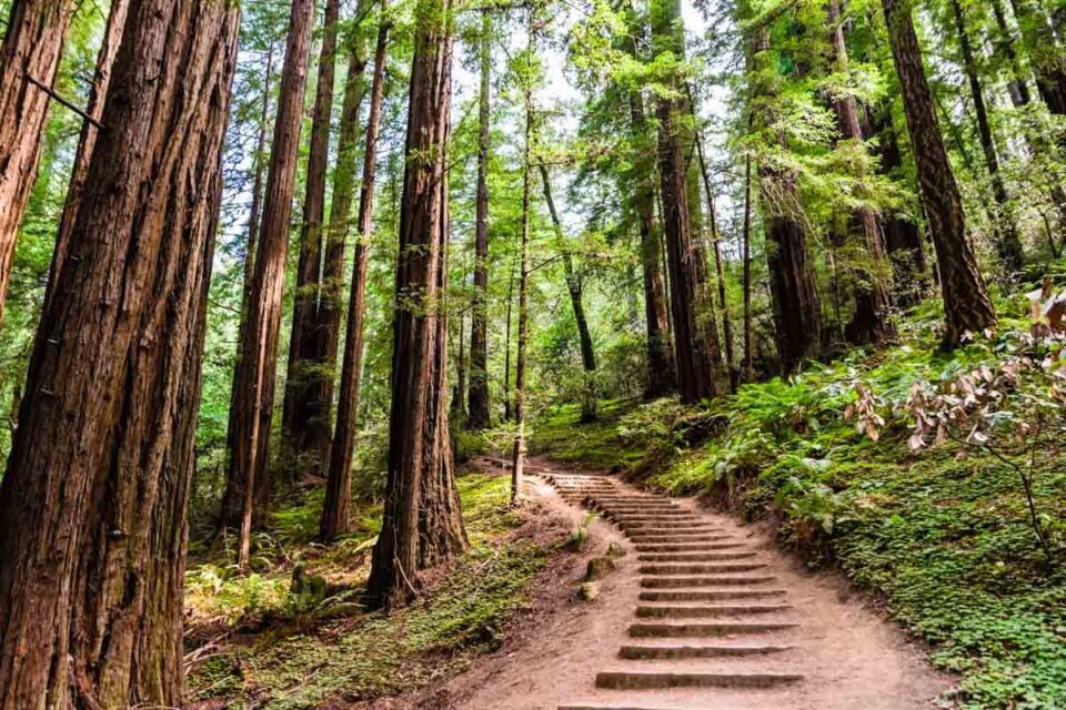 129 US National Monuments : All American Monuments By State