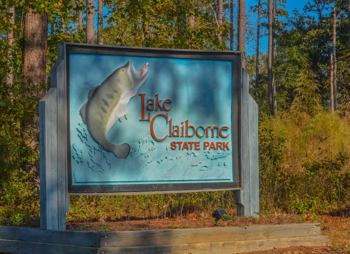 16 Best Louisiana State Parks For a Fun Weekend