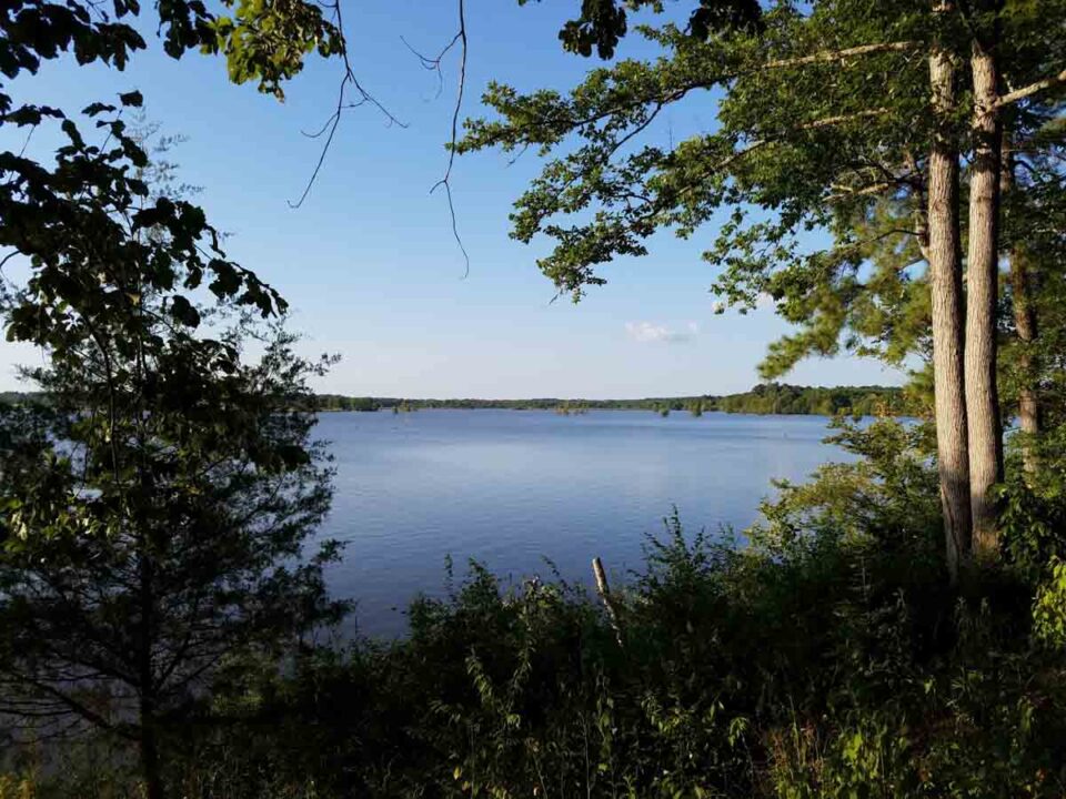 16 Best Louisiana State Parks For a Fun Weekend